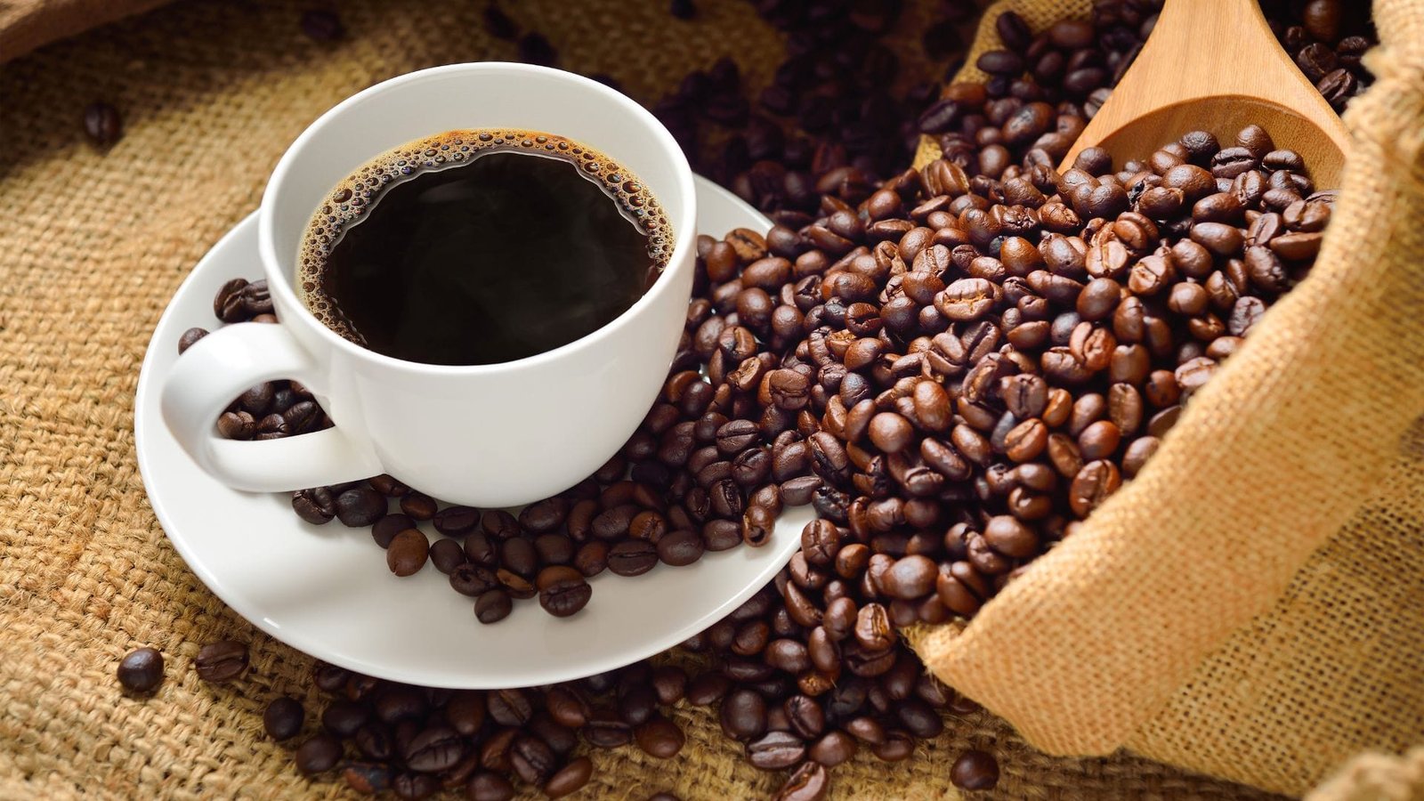 A Simple Guide to Toraja Coffee, The Popular Indonesian Coffee