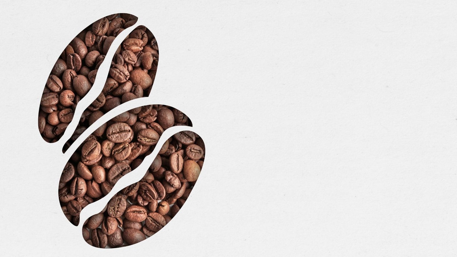A Simple Guide to Toraja Coffee, The Popular Indonesian Coffee