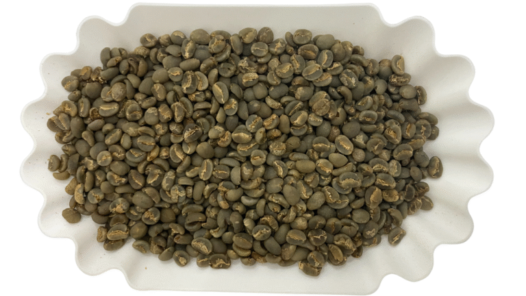 ¿Qué son los granos de café verde? - Café de especialidad de Indonesia