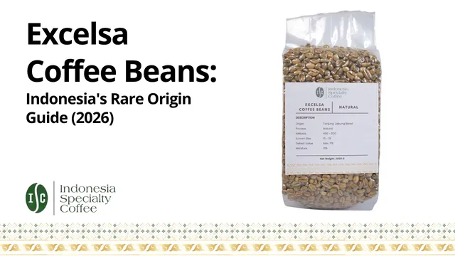Excelsa Coffee Beans: Indonesia's Rare Origin Guide (2026)