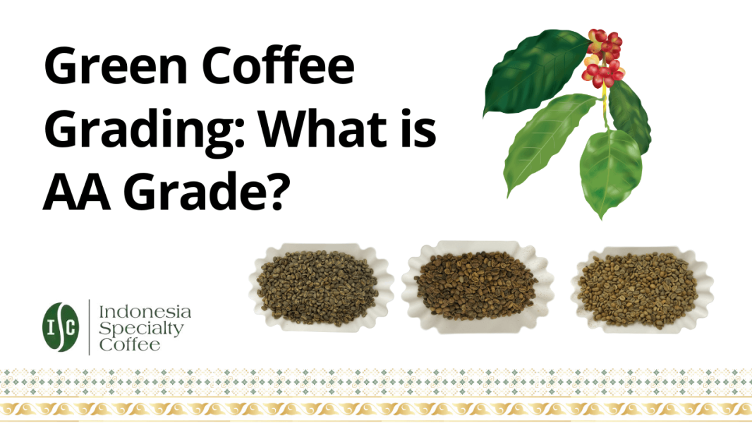 グリーンコーヒーの等級：AAグレードとは？ - インドネシアスペシャルティコーヒー